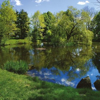 Łańcut | Szlak Ogrodów